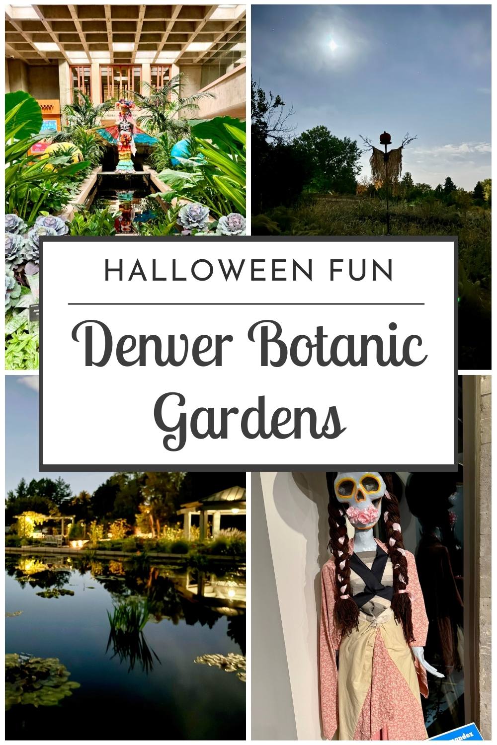 Halloween Fun in Denver: Glow at the Gardens at Denver Botanic Gardens ...