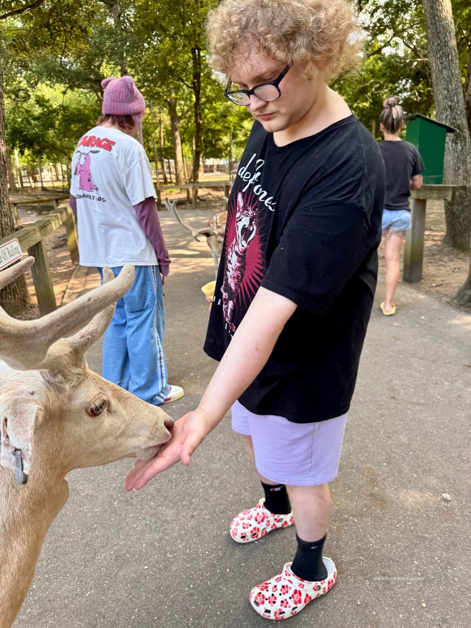 Wisconsin Deer Park: A Family-Friendly Hidden Gem in Wisconsin Dells ...