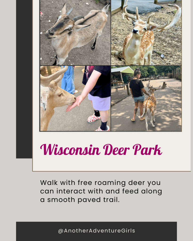 Wisconsin Deer Park: A Family-Friendly Hidden Gem in Wisconsin Dells ...