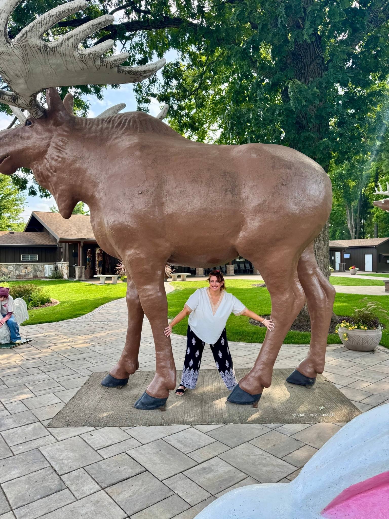 Wisconsin Deer Park: A Family-Friendly Hidden Gem in Wisconsin Dells ...