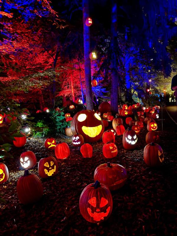 Thousands of Jack-O-Lanterns at Newfields Harvest Nights in ...